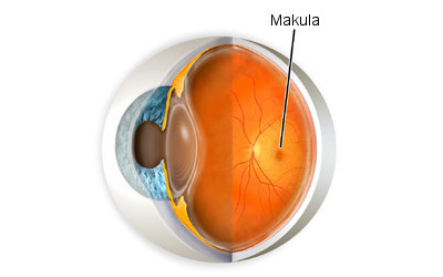 Edem makule oka – Uzroci, Simptomi i Liječenje | Optometrija.net